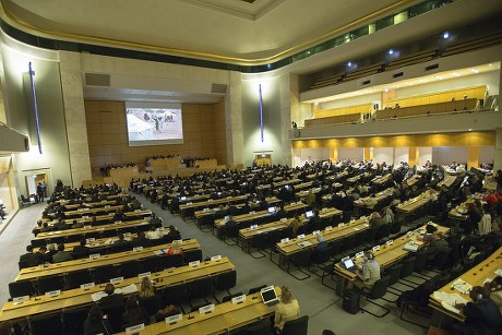 Delegates Watch Unhcrs Video During Opening Editorial Stock Photo ...