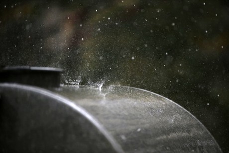 Rain Drops Hit Litter Box During Editorial Stock Photo - Stock Image ...