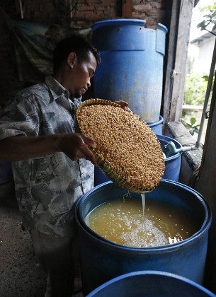 Worker Holds Boiled Soybeans Part Process Editorial Stock Photo - Stock ...