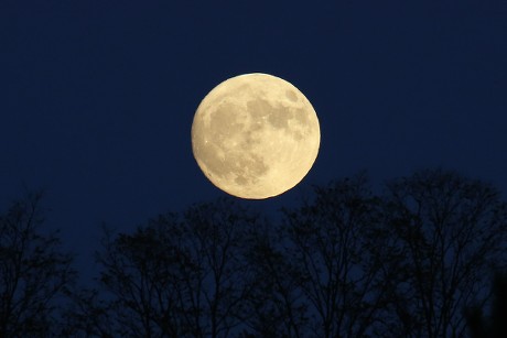 Supermoon Rises Over Trees Springfield Virginia Editorial Stock Photo ...