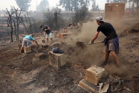 Settlers Begin Clean Rubbles After Forest Editorial Stock Photo - Stock ...