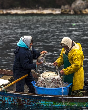 Local Fishermen Who Work Hydrobiological Institute Editorial Stock ...