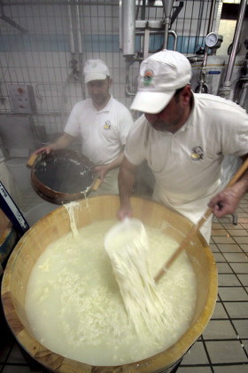Workers Prepares Buffalo Mozzarella Farm Marcianise Editorial Stock ...