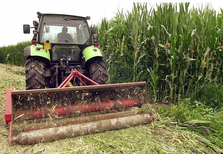 250 Epa tractor Stock Pictures, Editorial Images and Stock Photos ...