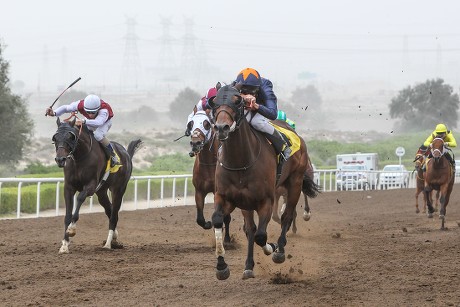 Horse Racing from Jebel Ali, Dubai, United Arab Emirates - 03 Feb 2017 ...