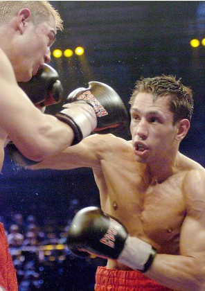 German World Boxing Organisation Middleweight Champion Editorial Stock ...