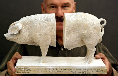 Collector Curator Holger Matthies Presents Trojan Editorial Stock Photo ...
