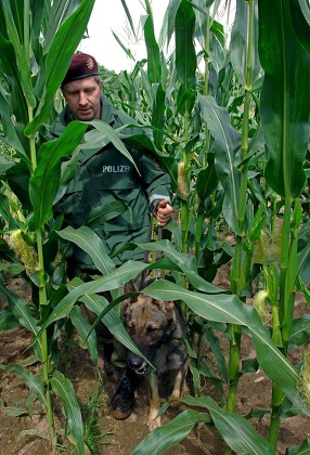 Police Officer Walks His Dog Through Editorial Stock Photo - Stock ...