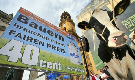 Cow Stands Front Placard Reading Farmers Editorial Stock Photo - Stock ...