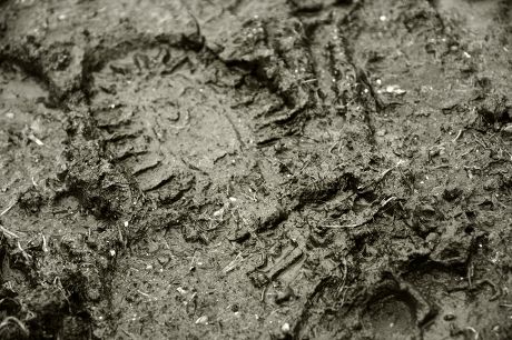 Footprint Mud Made By Boot Editorial Stock Photo - Stock Image ...