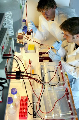 Scientists Johannes Krause L Adrian Briggs Editorial Stock Photo ...