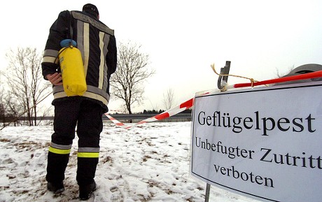 Firefighter Carries Canister Disinfectant He Walks Editorial Stock ...