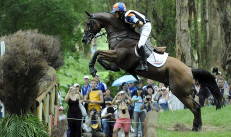 Dutch Eventing Rider Tim Lips His Editorial Stock Photo - Stock Image ...