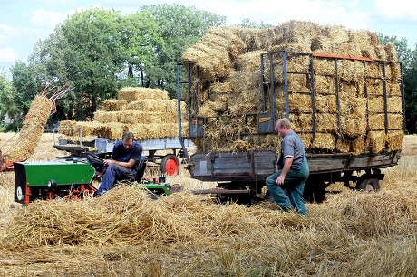 Two Men Pack Load Bales Onto Editorial Stock Photo - Stock Image ...