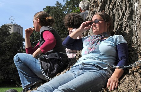 Environmental Activists Chained Themselves Onto Cottonwood Editorial ...