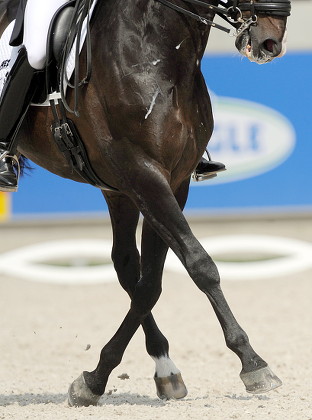 Danish Dressage Equestrian Nathalie Zu Saynwittgensteins Editorial ...