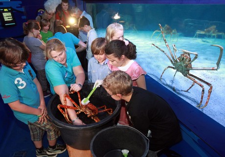 Under Supervision Biologist Cathrin Pawlak 2l Editorial Stock Photo ...