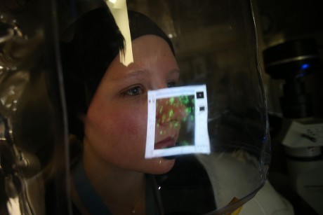 Virologist Lisa Oestereich Works Fluorescence Microscope Editorial ...
