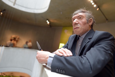 Replica Neanderthal Man Has Been Dressed Editorial Stock Photo - Stock ...