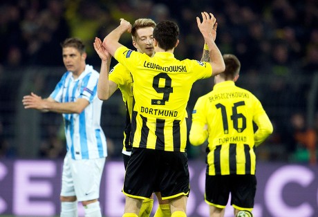 Dortmunds Robert Lewandowski Front Celebrates His Editorial Stock Photo ...