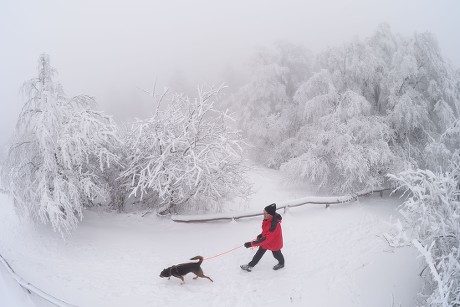 Man Wearing Red Winter Jacket Adds Editorial Stock Photo - Stock Image ...