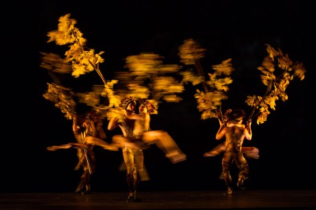Dancers Modern Dance Company Momix Perform Editorial Stock Photo ...