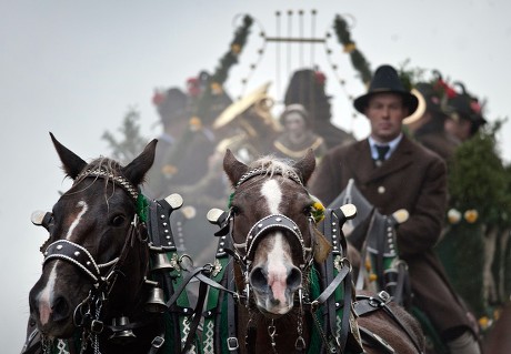 Decorated Cart Driven By Man Traditional Editorial Stock Photo - Stock ...