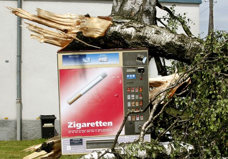 Tree Trunk Lies On Cigarette Vending Editorial Stock Photo - Stock ...
