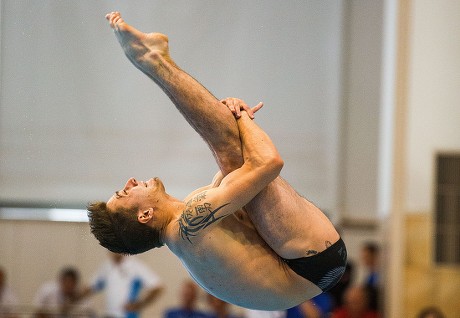 French Diver Matthieu Rosset Action During Editorial Stock Photo ...