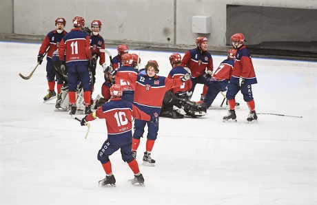 48 Bandy players Stock Pictures, Editorial Images and Stock Photos ...
