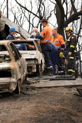Police Forensic Disaster Victim Identification Dvi Editorial Stock ...