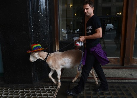 Gary Goat His Owner Comedian Jimbo Editorial Stock Photo - Stock Image ...