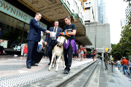 Gary Goat His Owner Comedian Jimbo Editorial Stock Photo - Stock Image ...