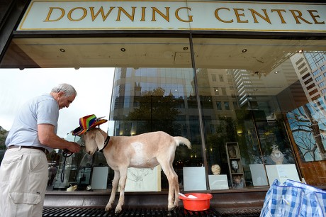 Gary Goat Waits Outside Downing Centre Editorial Stock Photo - Stock ...