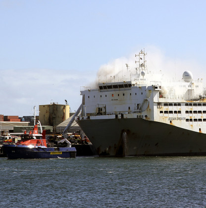 Ocean Drover Livestock Carrier Ship On Editorial Stock Photo - Stock ...
