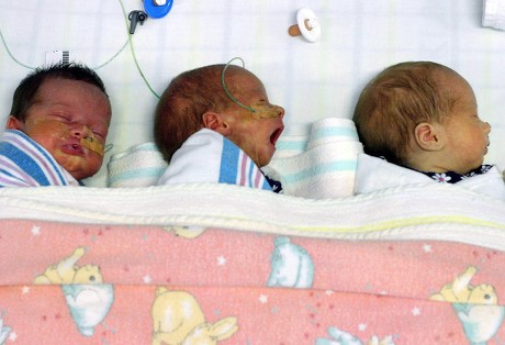 Four Week Old Triplets L R Editorial Stock Photo - Stock Image ...