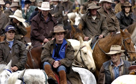 Victorian Highcountry Cattlemen Gather State Parliament Editorial Stock ...