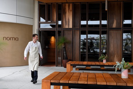 Staff Members Operate Noma Sydney Restaurant Editorial Stock Photo ...