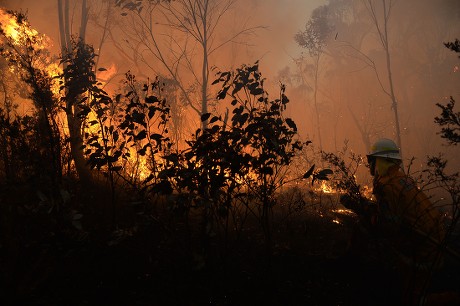 New South Wales Nsw Rural Fire Editorial Stock Photo - Stock Image ...
