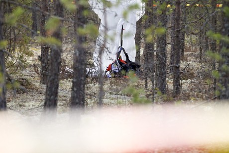 Parachute Hangs Tree Scene Plane Crash Editorial Stock Photo - Stock ...