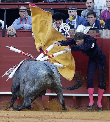 Spanish Bullfighter Manuel Escribano Fights Bull Editorial Stock Photo ...
