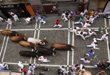 Bulls Jandilla Ranch Chase Mozos Runners Editorial Stock Photo - Stock ...