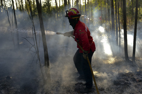 Fireman Fights Forest Fire That Broke Editorial Stock Photo - Stock ...