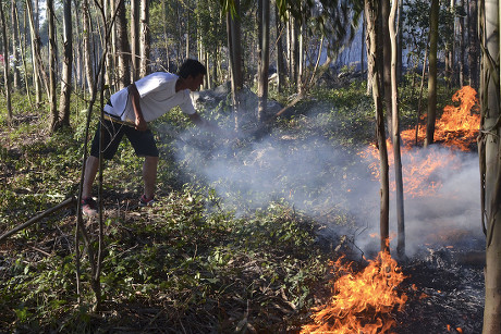 Man Fights Forest Fire That Broke Editorial Stock Photo - Stock Image ...