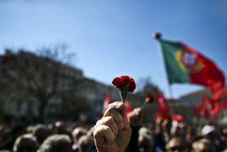 Man Holds Carnation Rally During Commemorations Editorial Stock Photo ...
