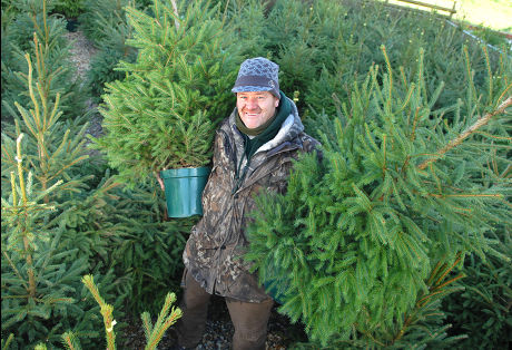 24 Christmas tree hire Stock Pictures, Editorial Images and Stock ...