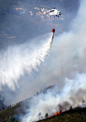 Helicopter Drops Water Over Forest Fire Editorial Stock Photo - Stock ...