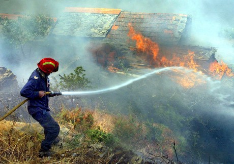 Fire Rescue Worker Fights Flames Forest Editorial Stock Photo - Stock ...