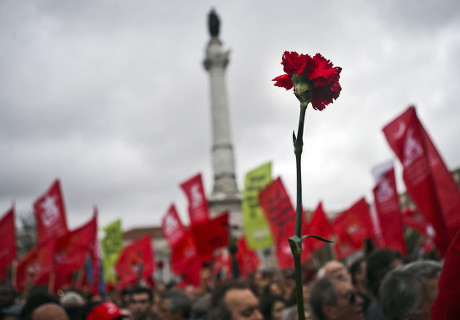 Red Carnation Raised Rally During Commemorations Editorial Stock Photo ...
