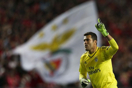 Goalkeeper Julio Cesar Celebrates Goal By Editorial Stock Photo - Stock ...